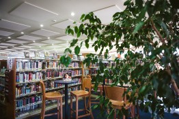 Alpine Public Library